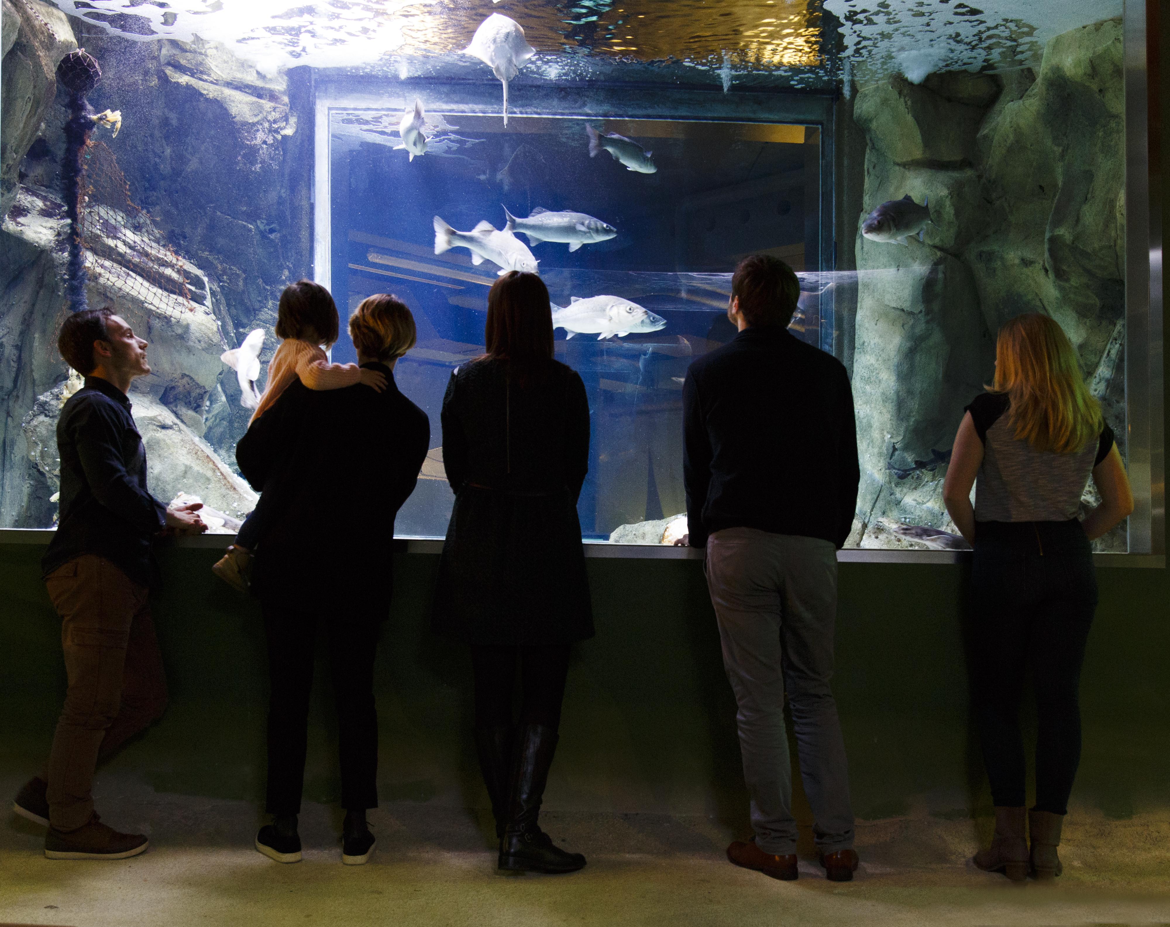 Plan je groepsbezoek | NAVIGO Visserijmuseum